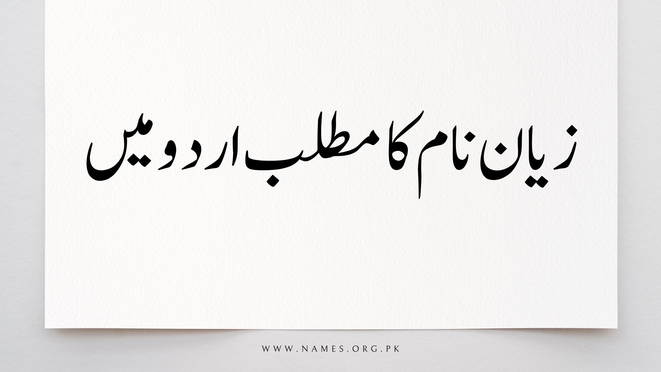 Zayan Name Meaning In Urdu (Boy Name زیان) - Name Meaning In Urdu